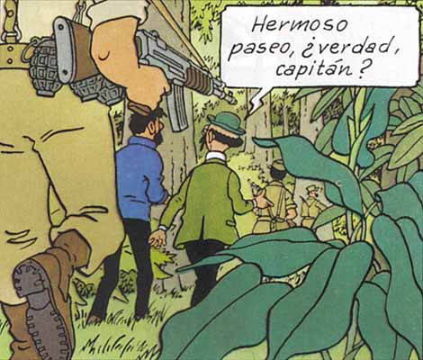El síndrome del Coronel Tapioca - enEvolución